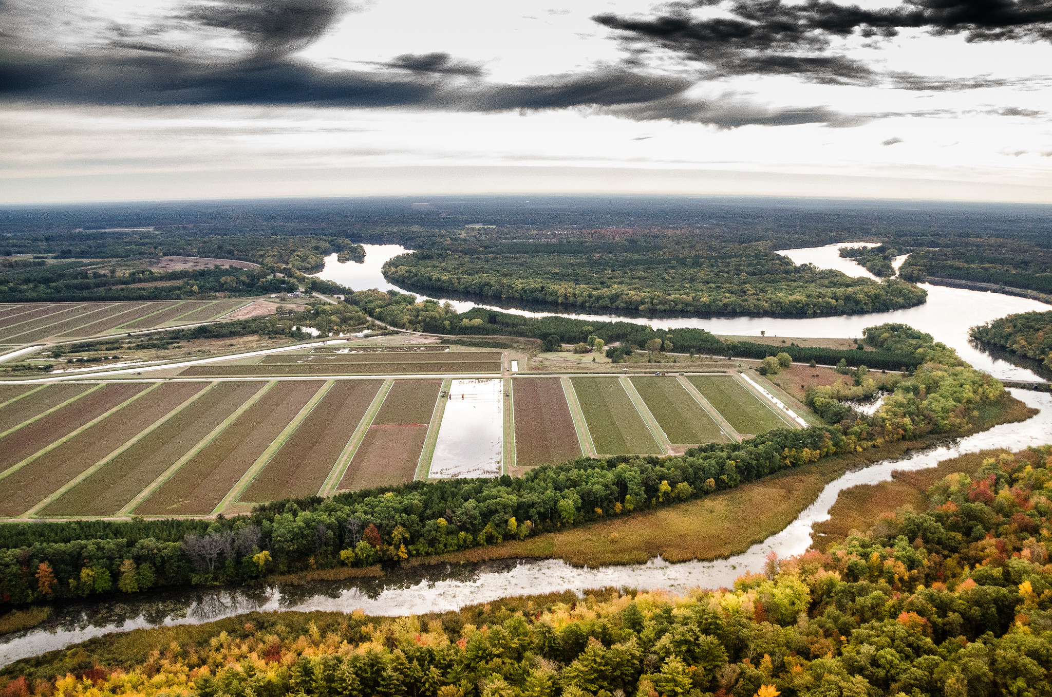Cranberry Physiology – College of Agricultural and Life Sciences